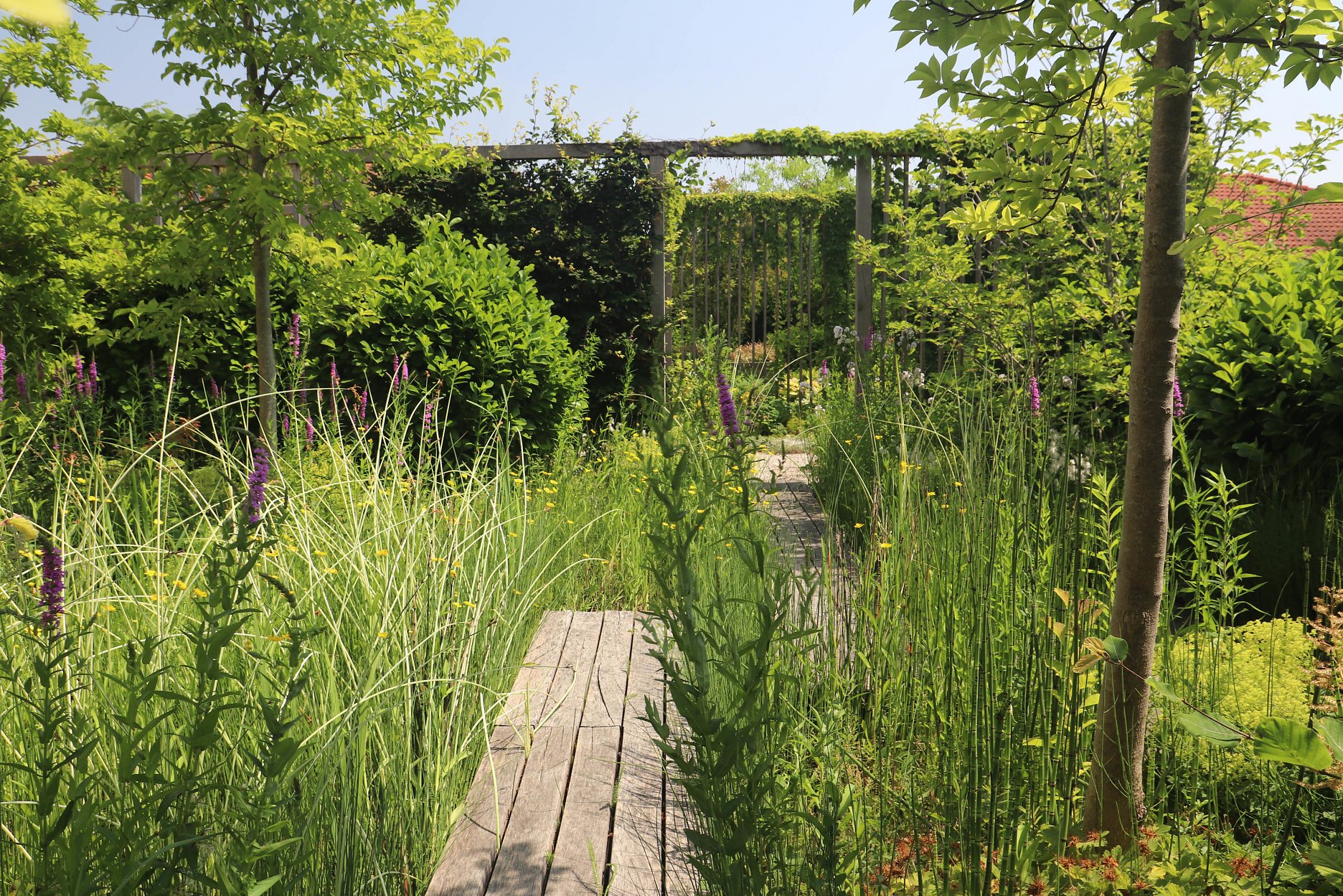 Rozmanitá záhrada, Rovinka | Archinfo.sk