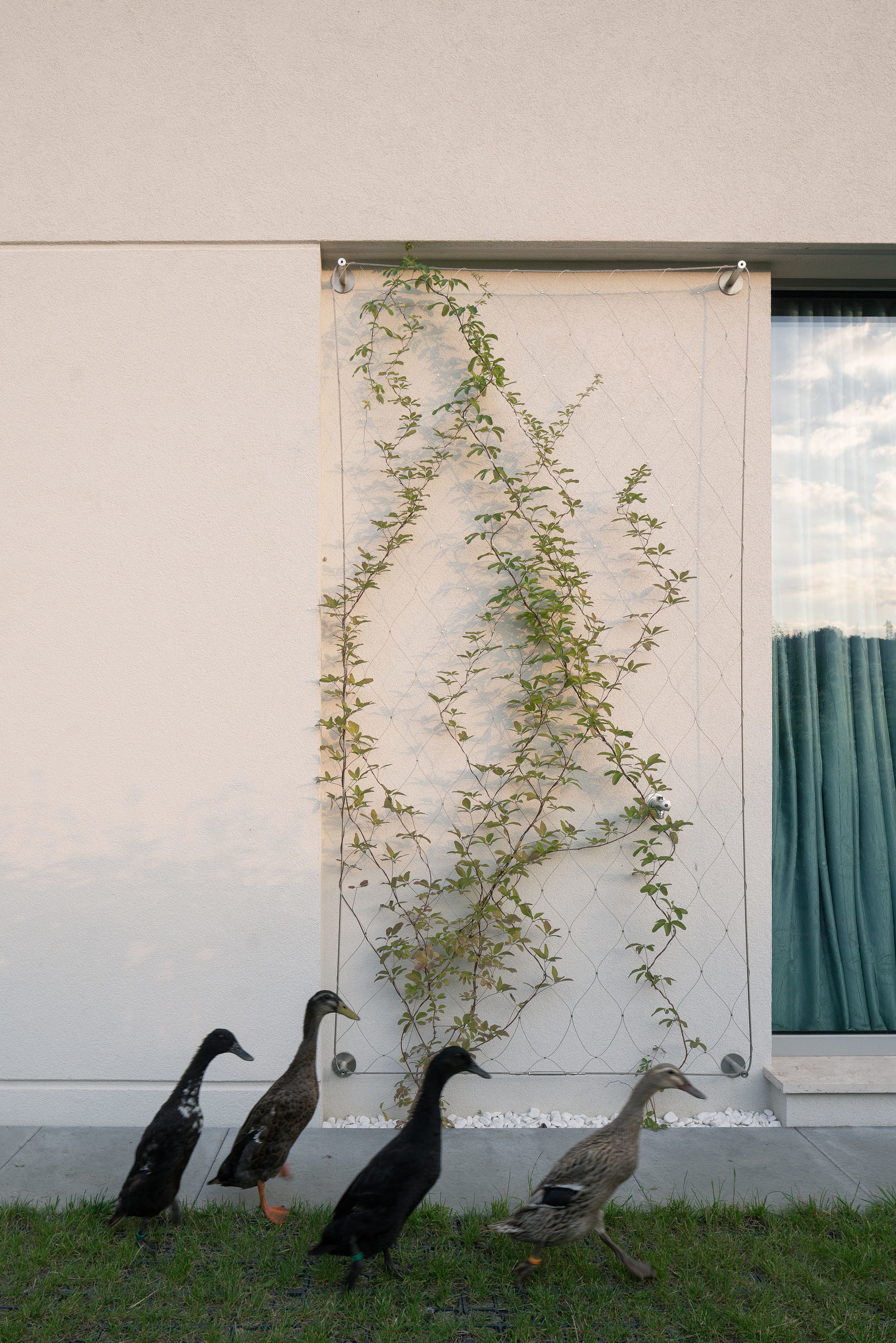 Dom so zelenými átriami, Nedvědice (ČR) | Archinfo.sk