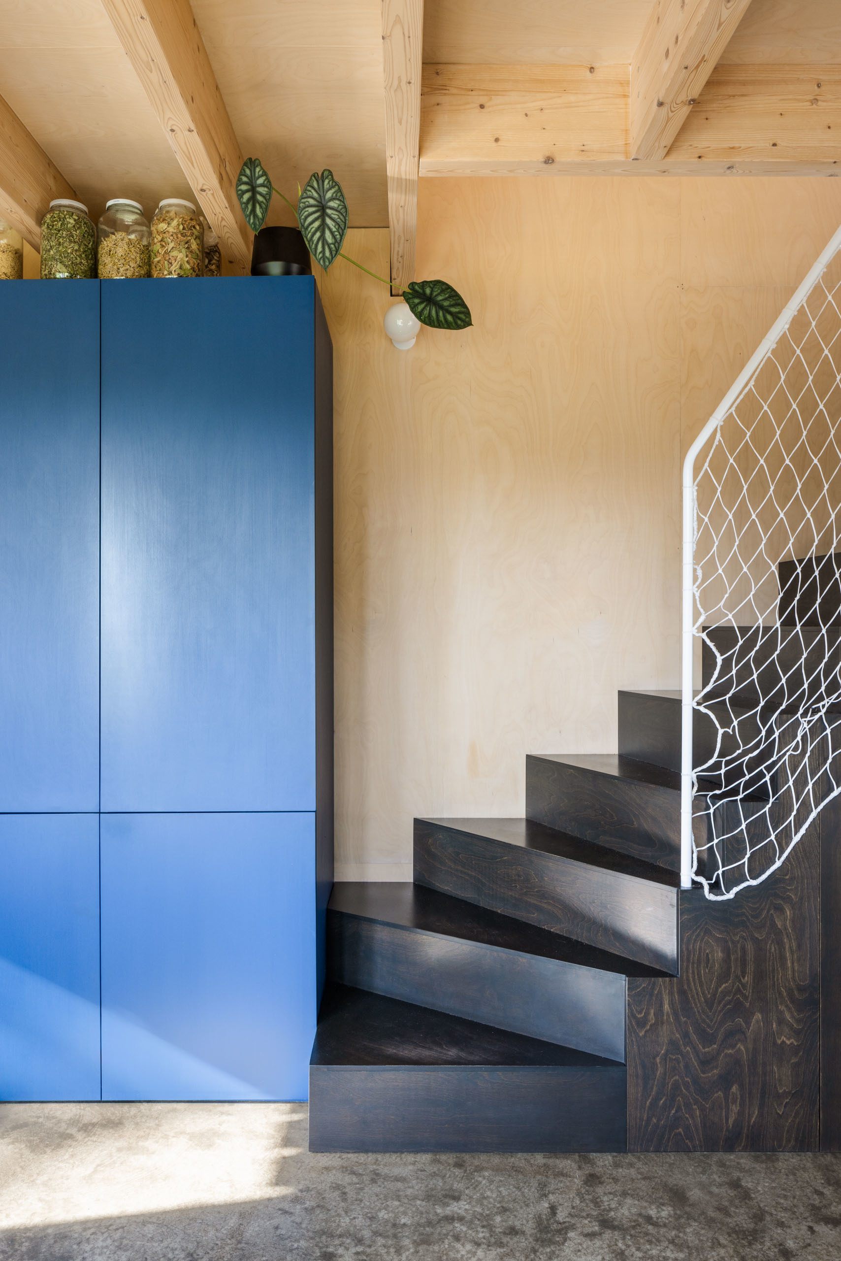 Dom S, Stupava | Archinfo.sk