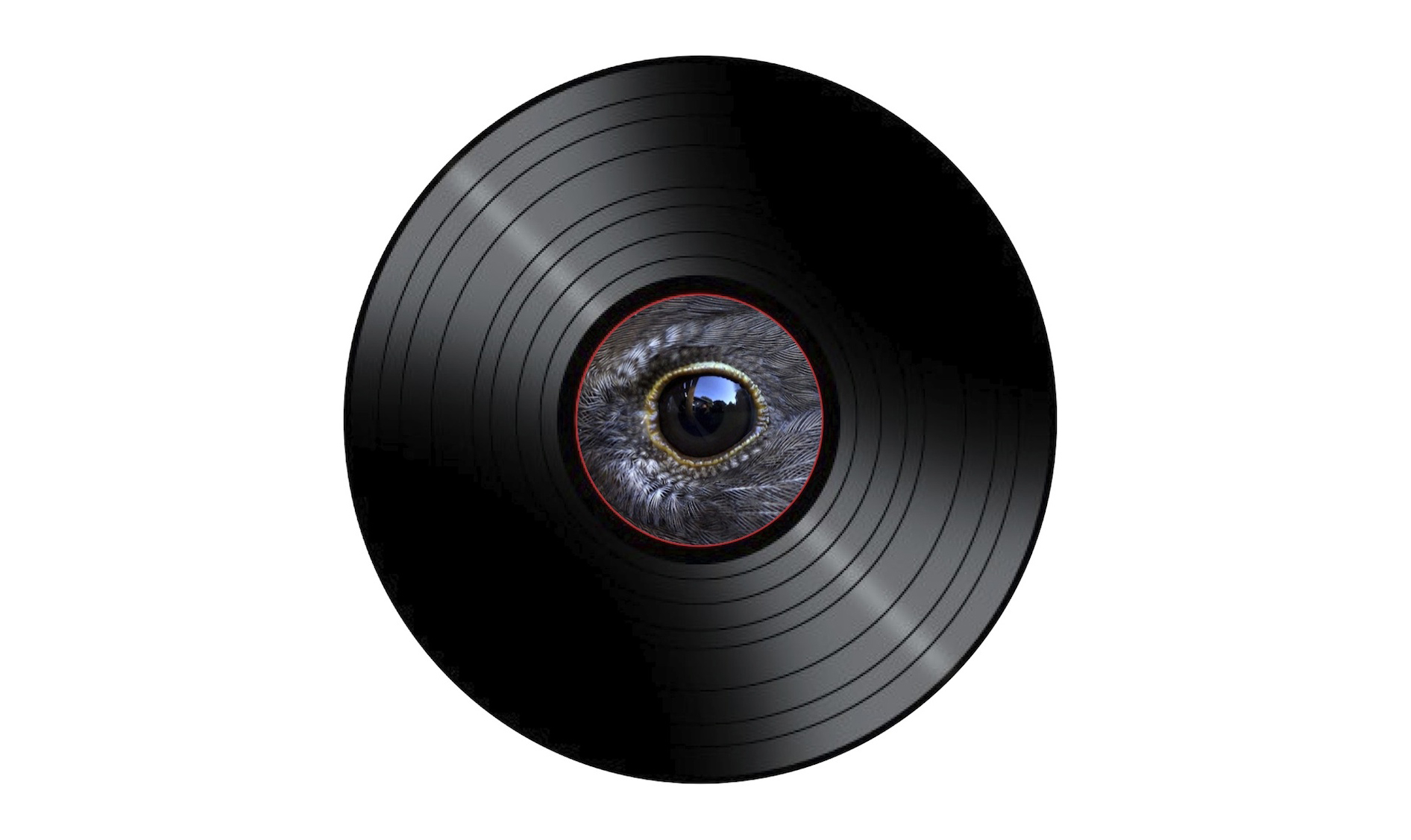 Pôdorys oka / Eye Ichnography | Archinfo.sk